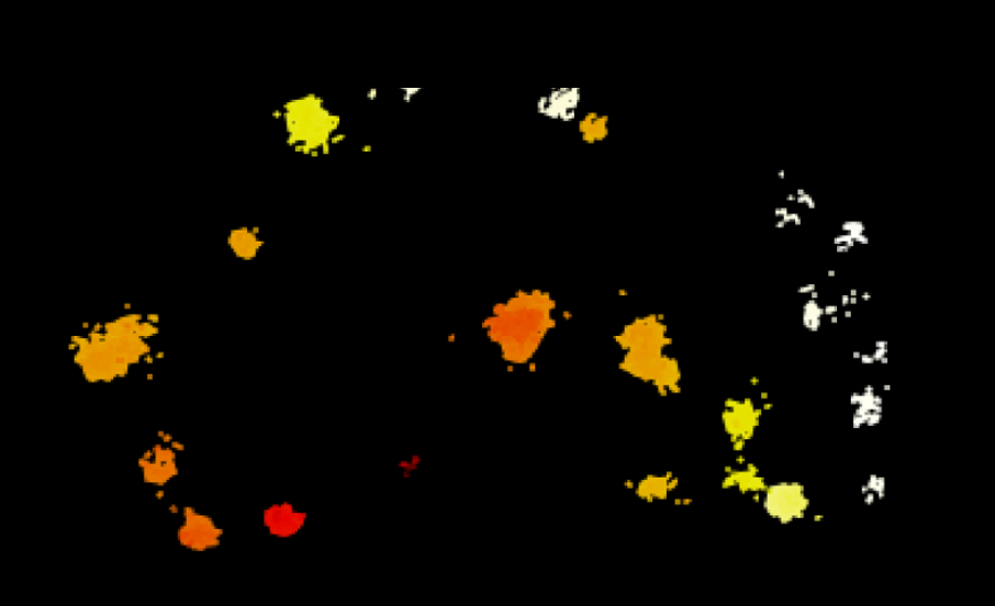 Teamwork in the inner ear – our hearing is based on the organized ...