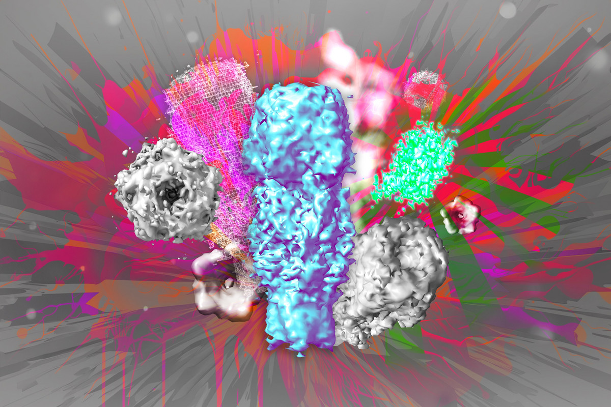 ONE microscopy: from molecule to 3D structure with conventional microscopy