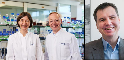 Sonderforschungsbereiche an UMG und Universität Göttingen für weitere 4 ...